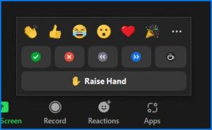 Raising Your Hand, and Other Reactions – Meetings and Webinars